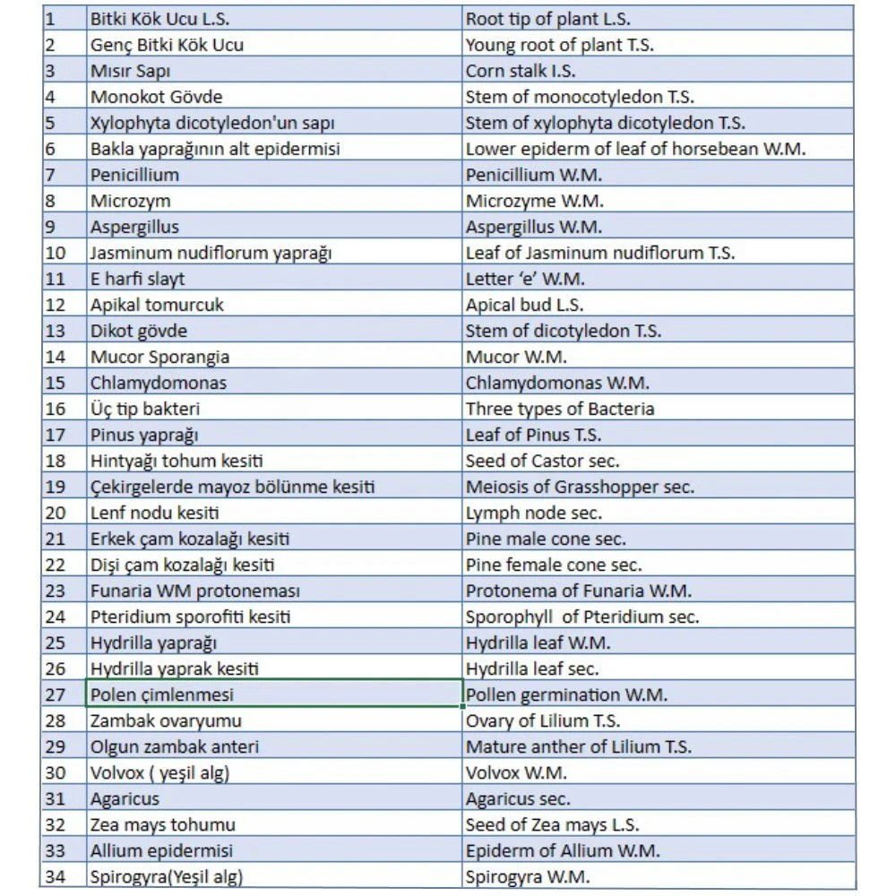 Mikroskop Slayt Seti | Ahşap Kutulu Preparat Set | 100 Slayt